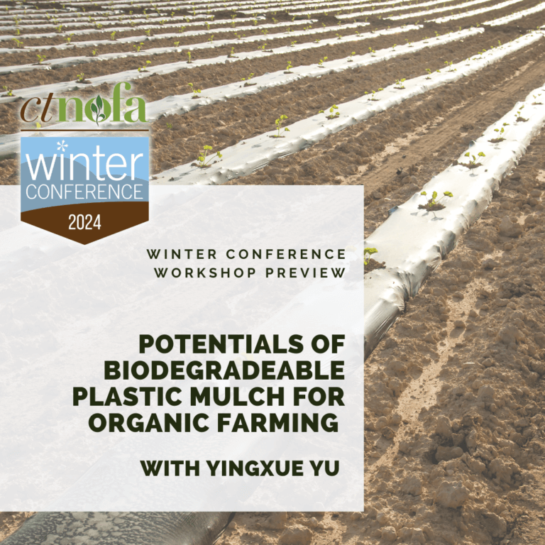 Potentials of Biodegradable Plastic Mulch for Organic Farming - CT NOFA