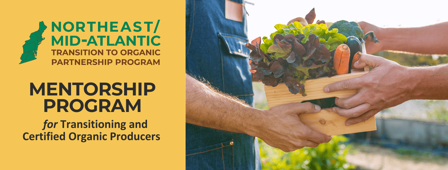 TOPP Mentorship Program Seeks Applicants for Fall 2024 and Spring 2025 Cohorts - CT NOFA