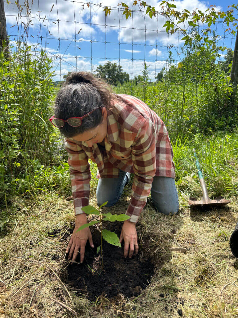 Soil Health Field Day: Tree and Shrub Establishment - CT NOFA