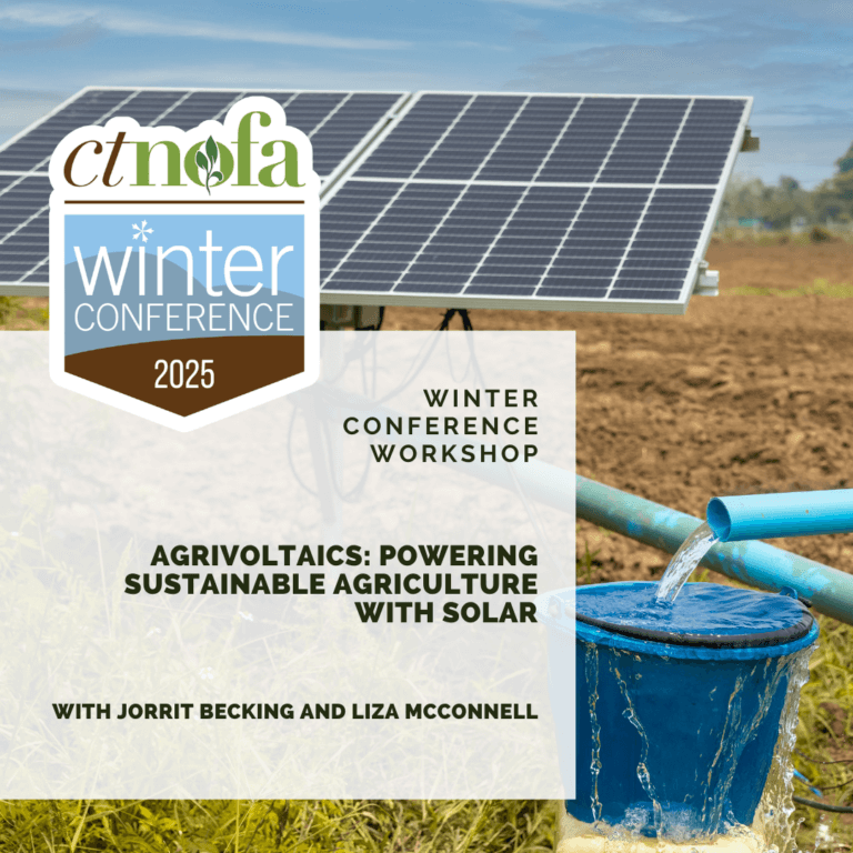 Agrivoltaics: Powering Sustainable Agriculture with Solar - CT NOFA