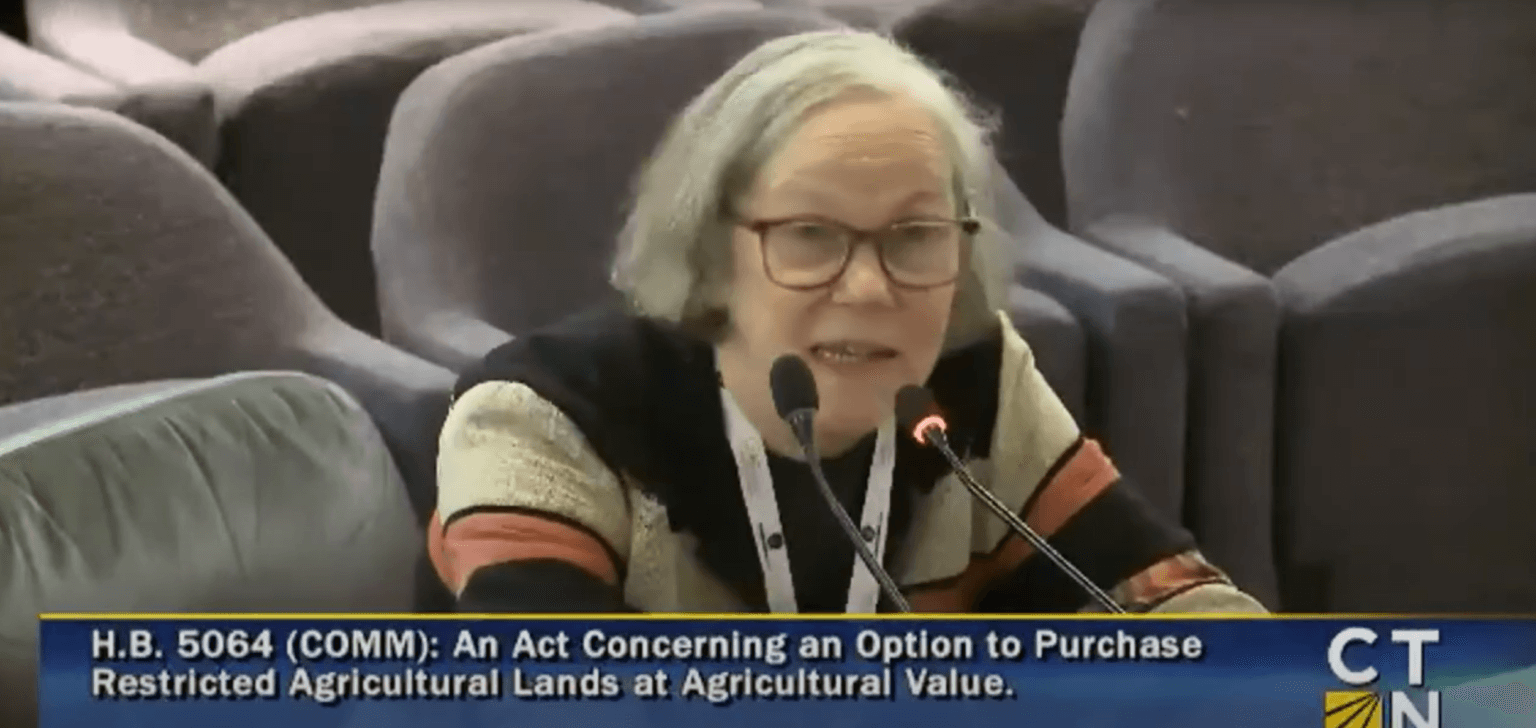 How to Effectively Establish Native Plant Plugs - Getting Started! - CT ...